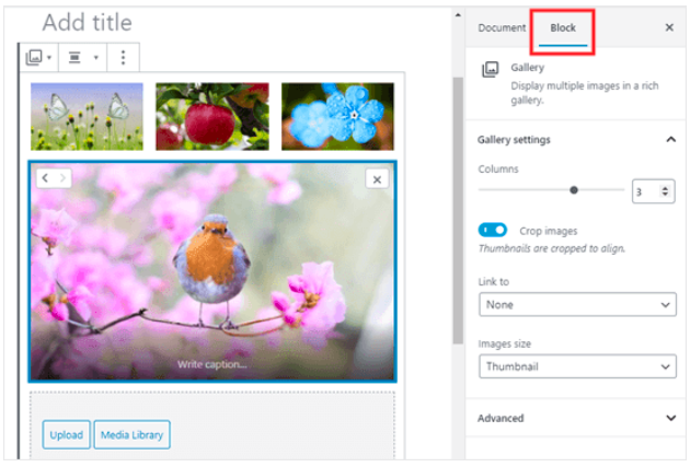 How To Put Images Side By Side In WordPress Website In 2023 