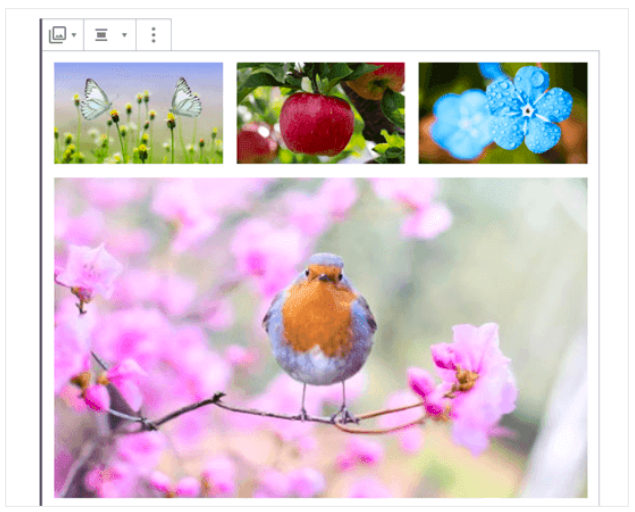 How To Put Images Side By Side In WordPress Website In 2023 